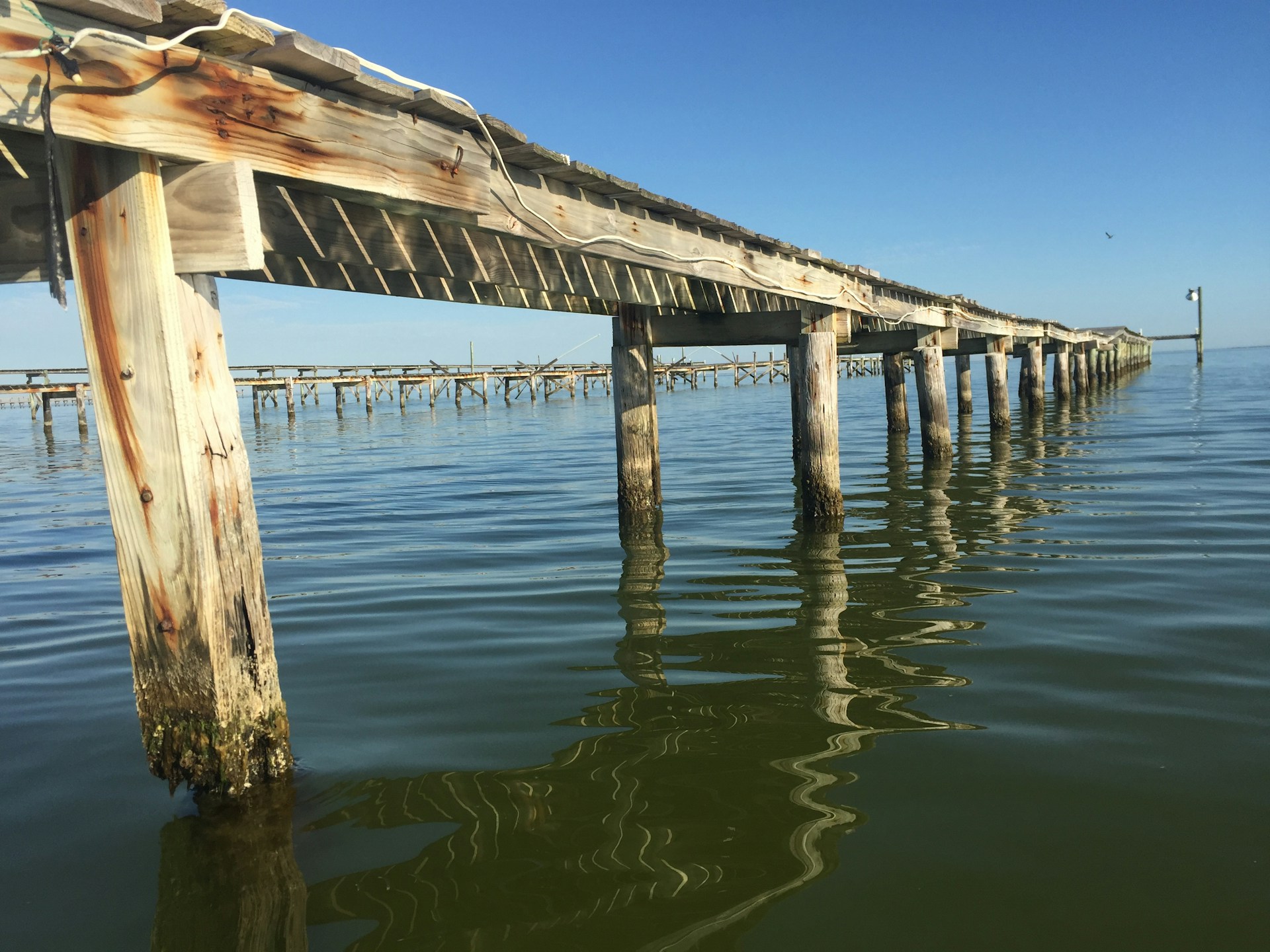 Top Day Trips from Port Aransas Texas | La Mirage